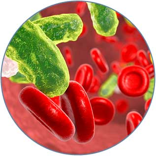 Guidelines & Topic Collections - American College of Chest Physicians