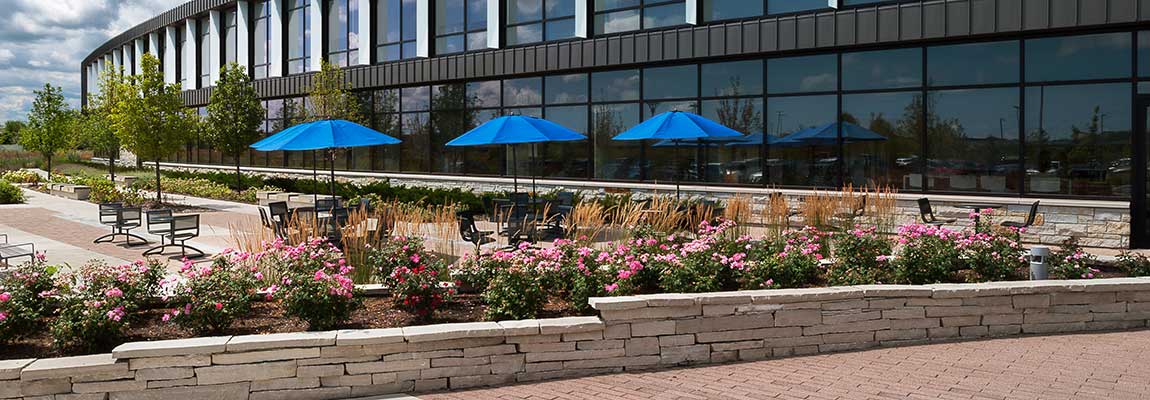 CHEST Immersion | For Industry Partners - American College of Chest ...