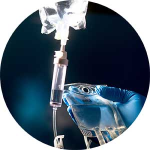 Guidelines & Topic Collections - American College of Chest Physicians